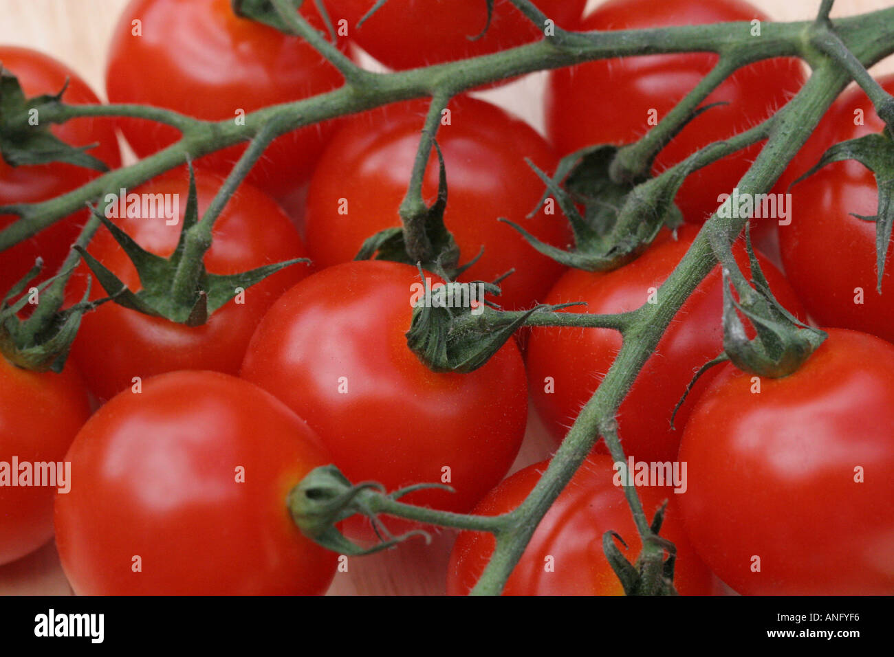 Stem with cherry tomatoes hi-res stock photography and images - Alamy