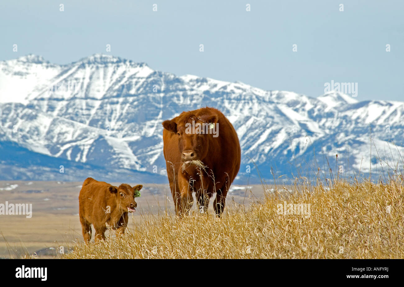 Lakes in taurus mountains hi-res stock photography and images - Alamy
