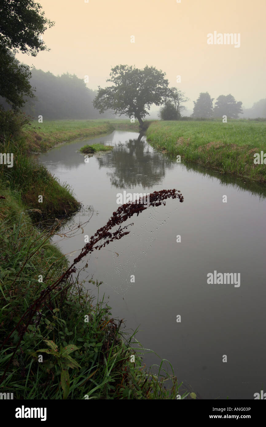 small lowland river in morning Stock Photo - Alamy