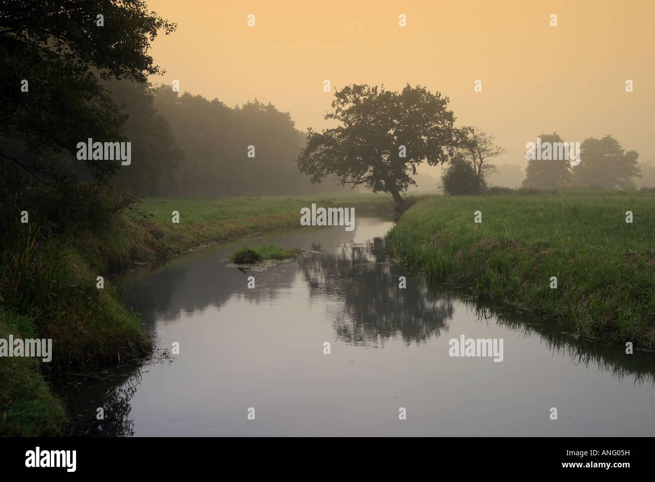 small lowland river in morning Stock Photo - Alamy
