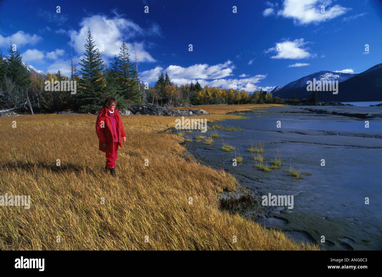 Turnagain arm tidal flats hi-res stock photography and images - Alamy