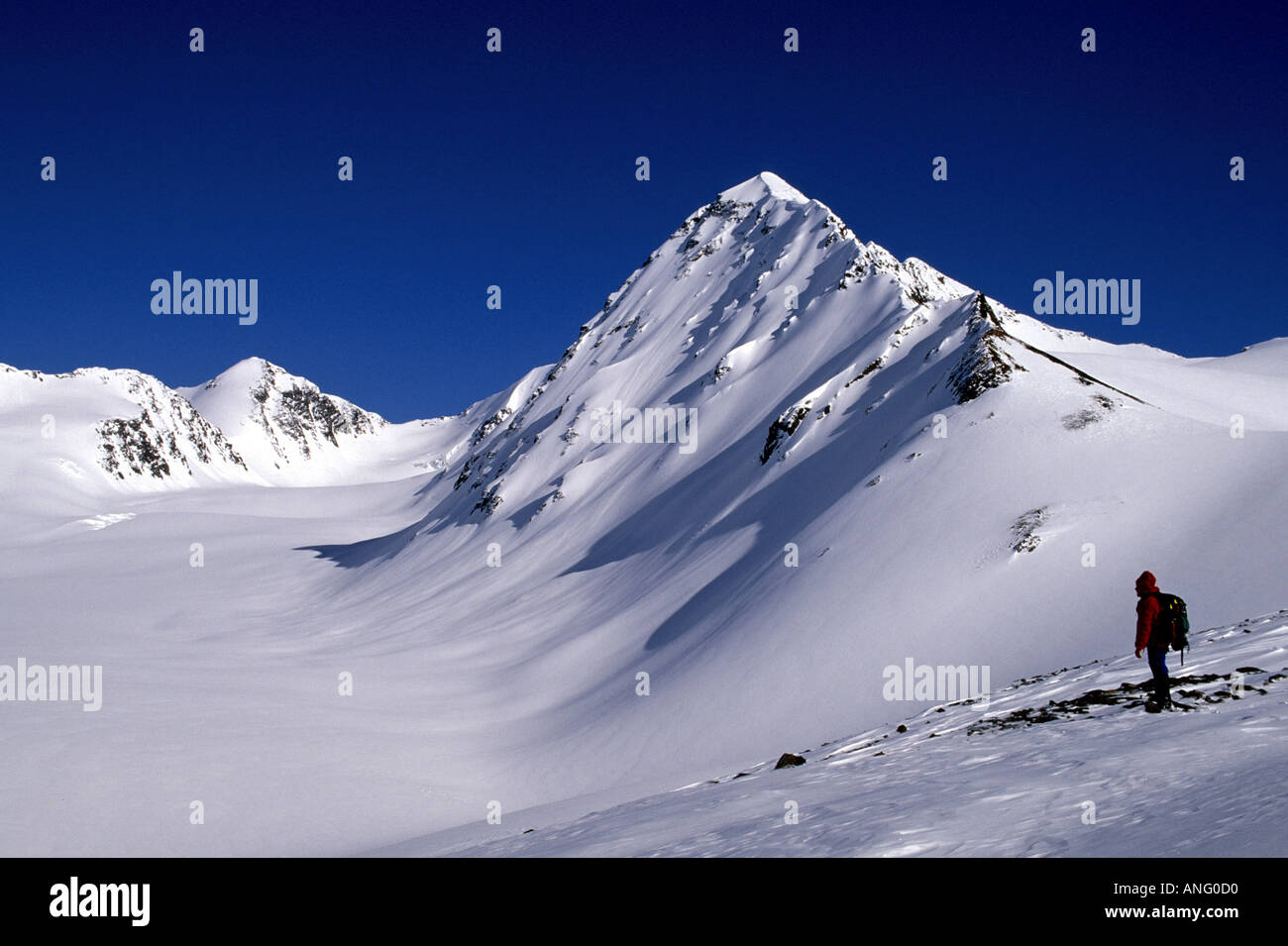 Crow glacier hi-res stock photography and images - Alamy