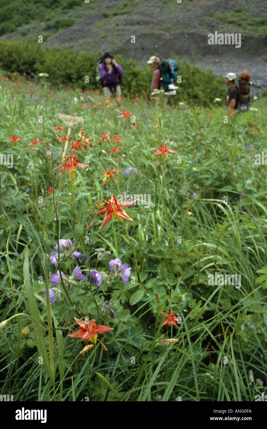 Crow pass hi-res stock photography and images - Alamy