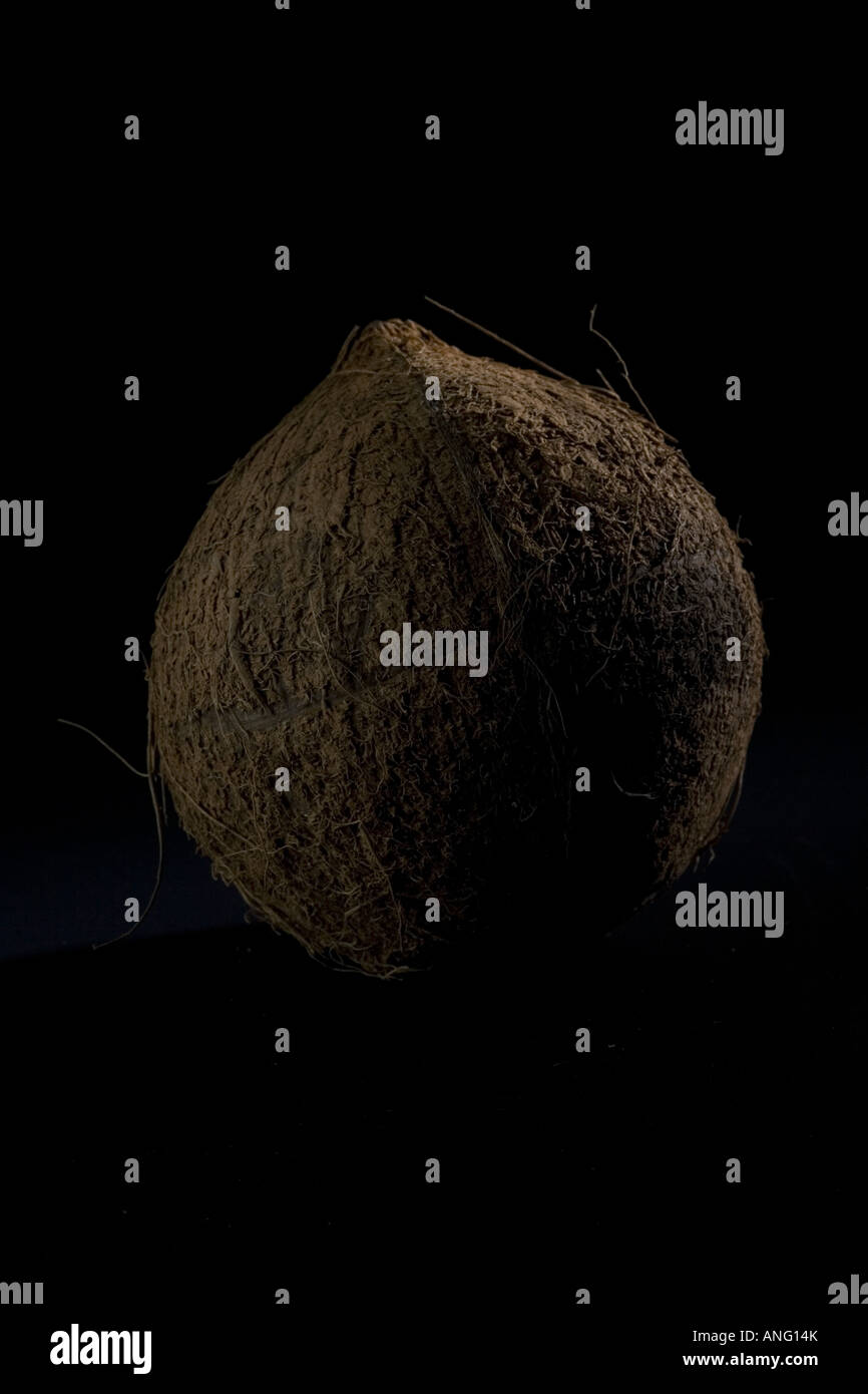 whole coconut on black background Stock Photo - Alamy