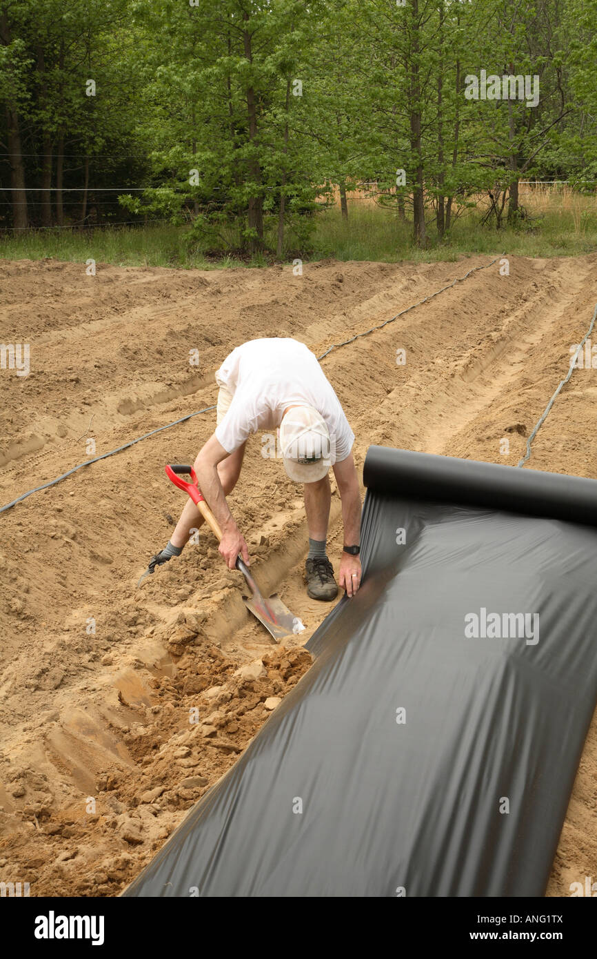 Plastic mulch to grow crops hi-res stock photography and images - Alamy