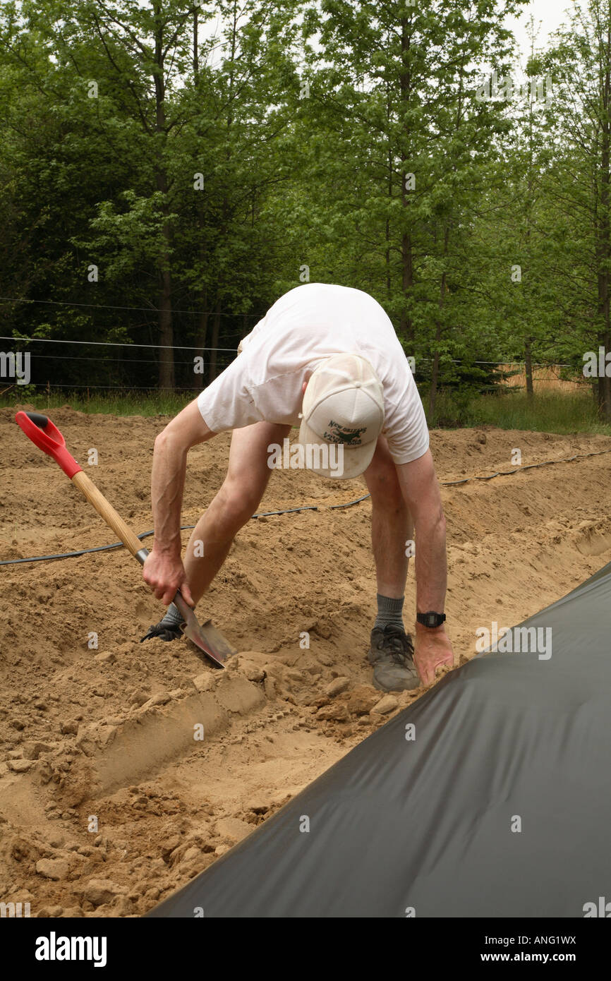 Plastic mulch to grow crops hi-res stock photography and images - Alamy