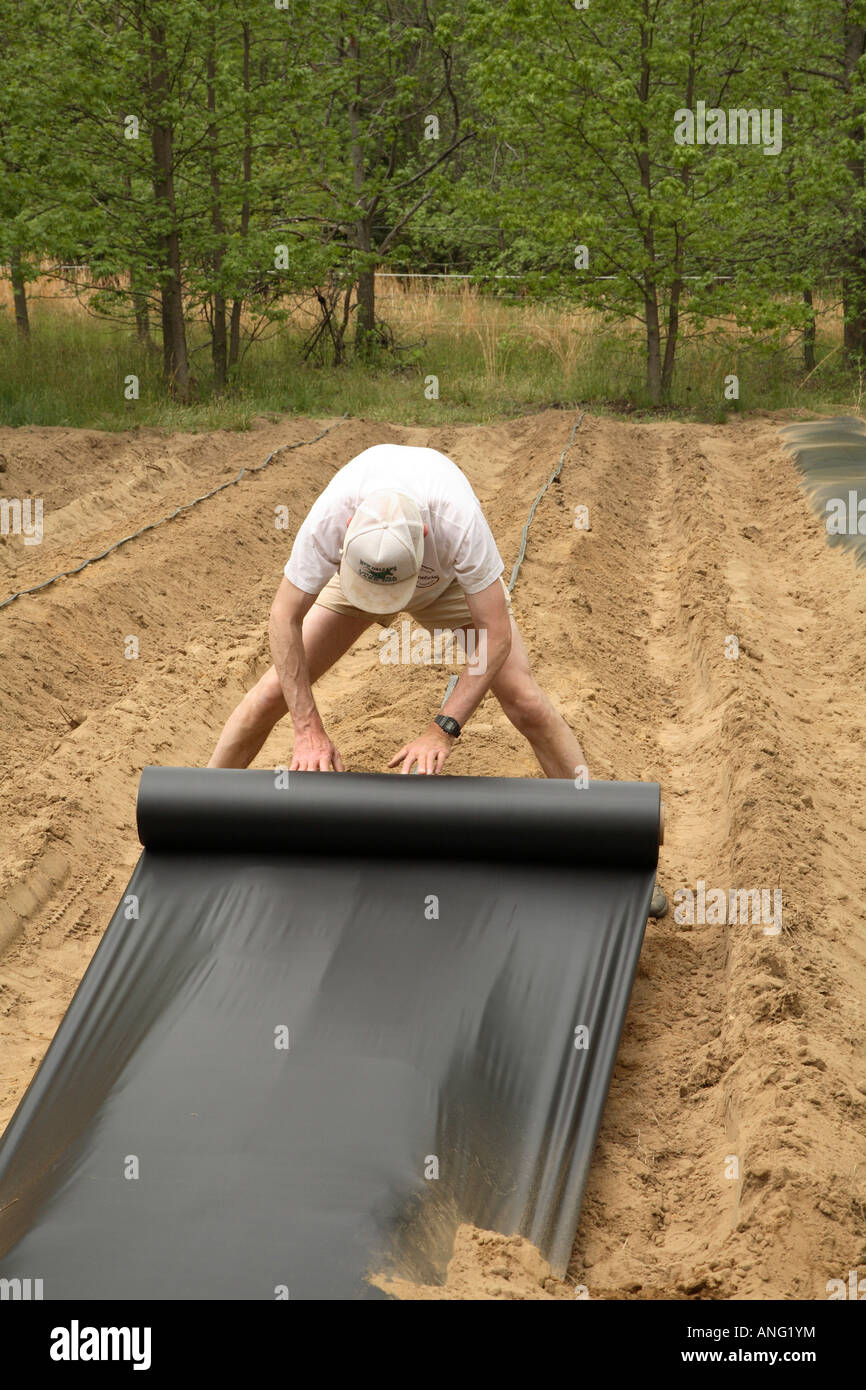 Plastic mulch to grow crops hi-res stock photography and images - Alamy
