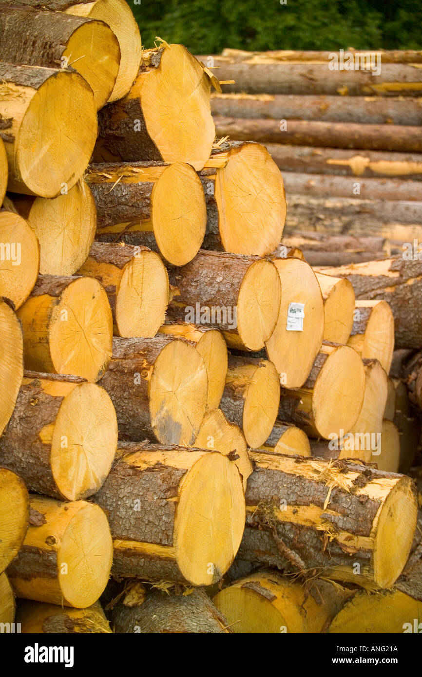 Stacked Tree Logs near Torsby in Varmland County Sweden Stock Photo - Alamy
