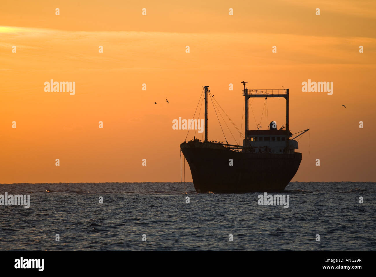 Beached, grounded silhouetted shipwrecked vessel; Cargo ship Honduran ...