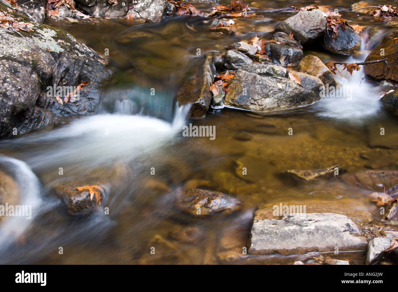 Straight Branch, Jefferson National Forest, near Damascus, Virginia ...
