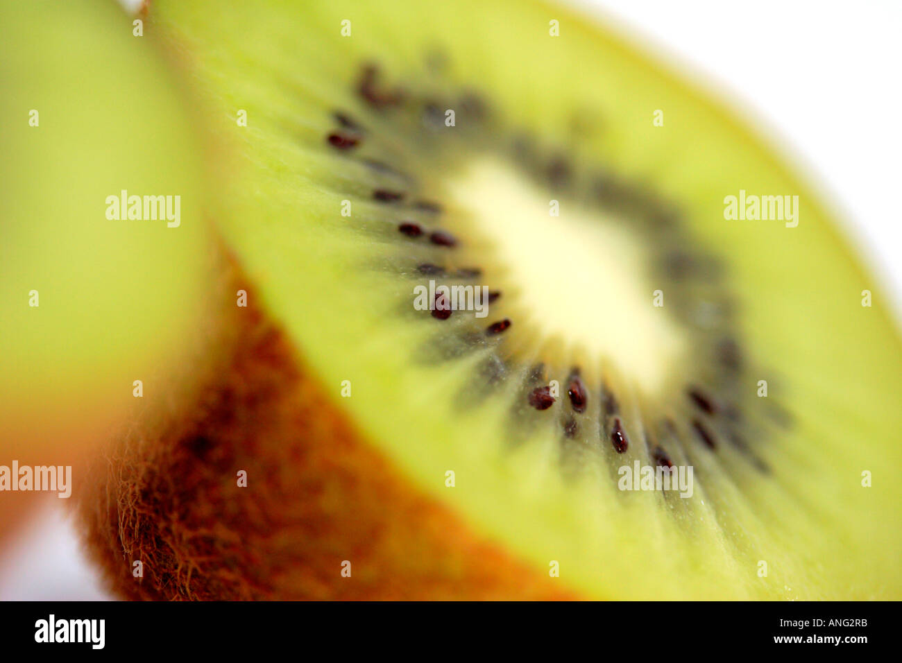 Close up of single kiwi fruit cut in half on white background Stock ...