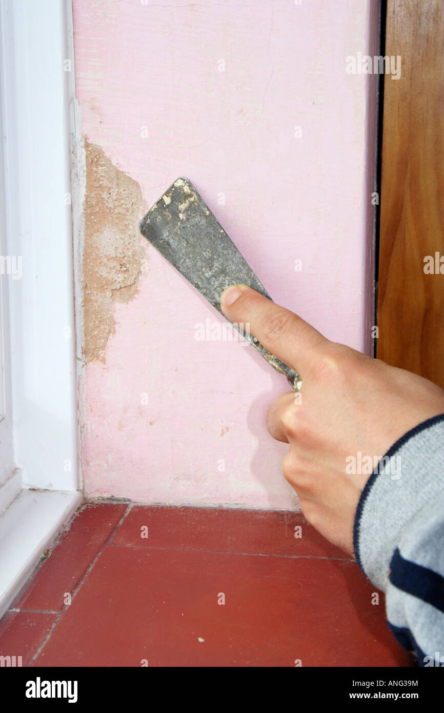 repairing a damaged interior wall Stock Photo - Alamy