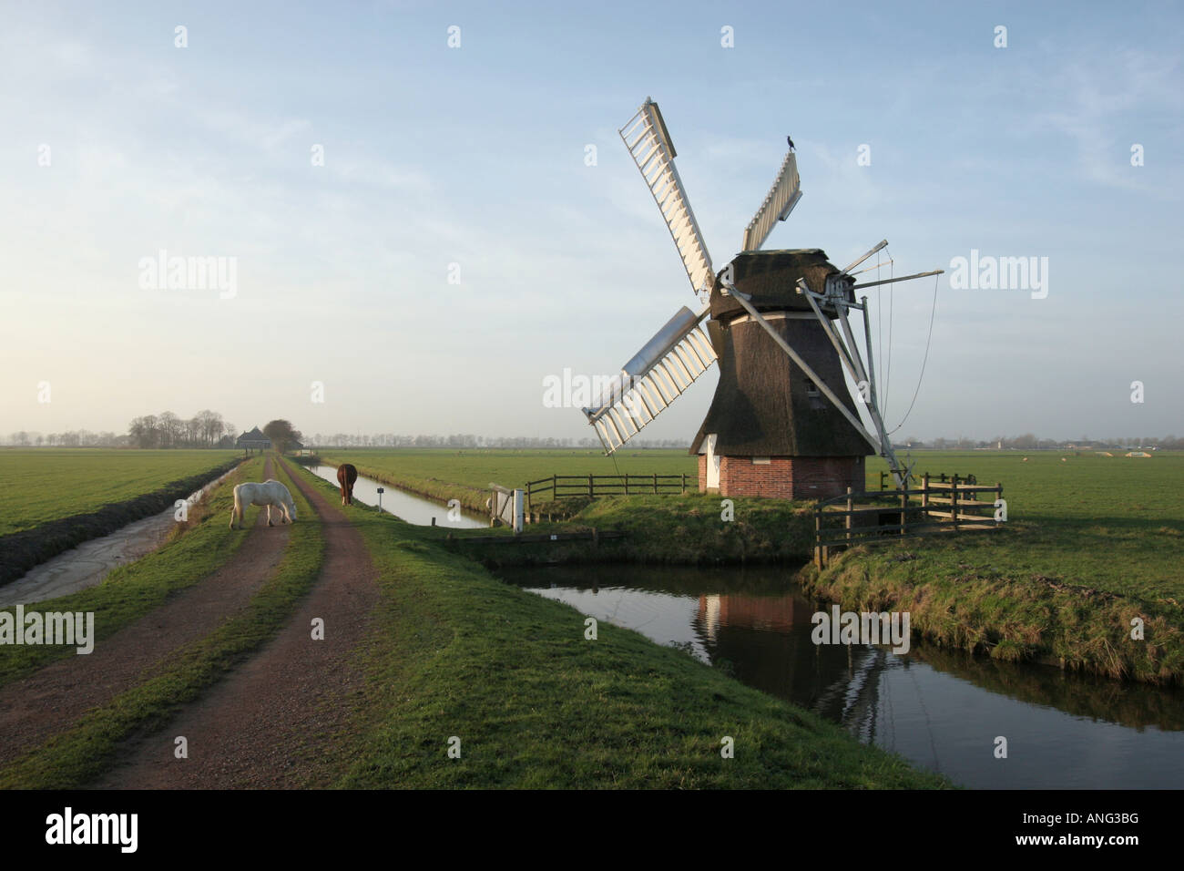 windmill in Dutch landscape Stock Photo - Alamy