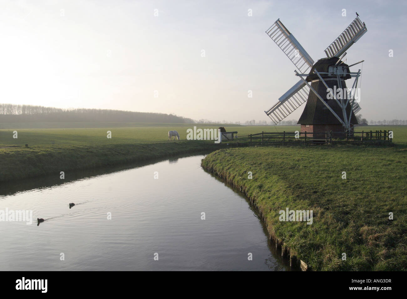 windmill in Dutch landscape Stock Photo - Alamy