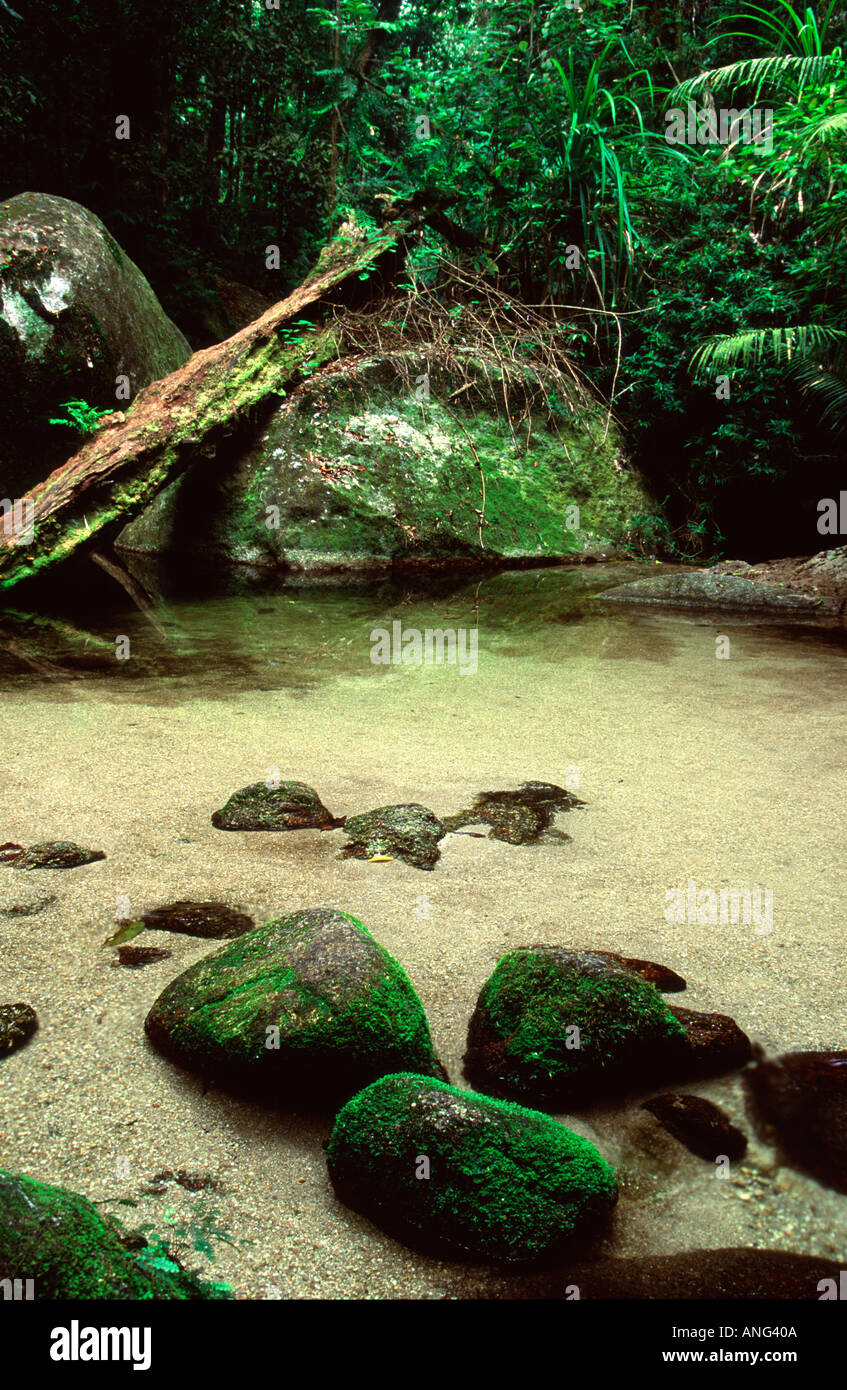 RV159 A clear rainforest stream in the Mossman Gorge section of the ...