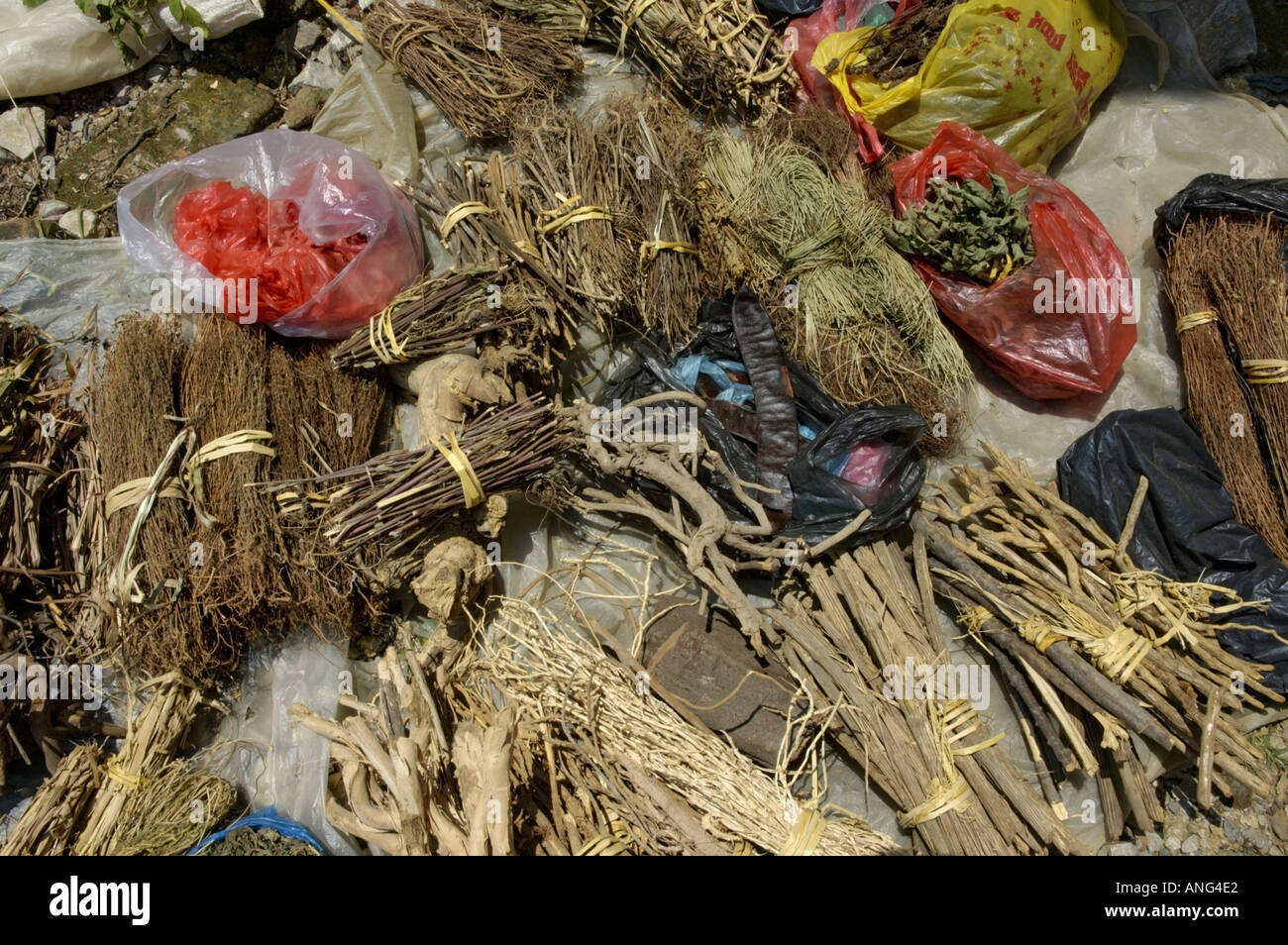 Market herbs roots fuli china hi-res stock photography and images - Alamy