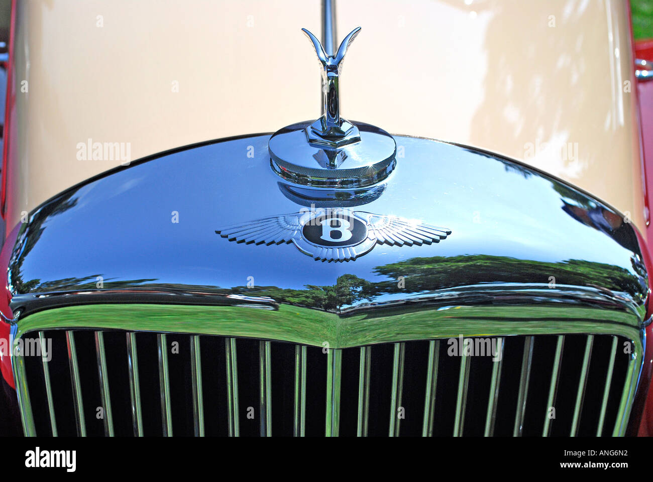 "^Bentley radiator badge, ^1950 Stock Photo - Alamy