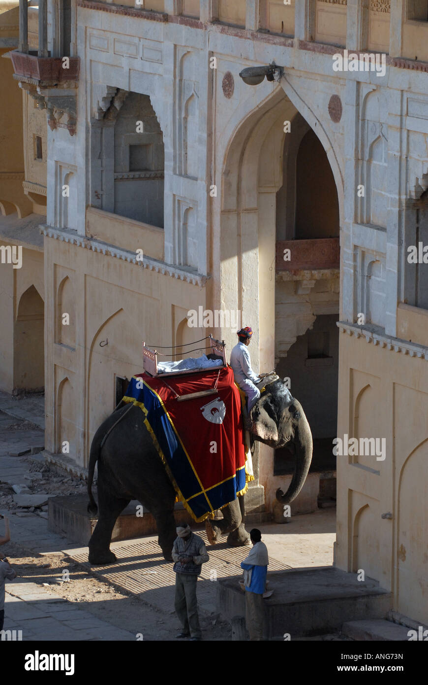 Elephant at the Suraj Pol gate, Amber Fort, Jaipur, India Stock Photo ...