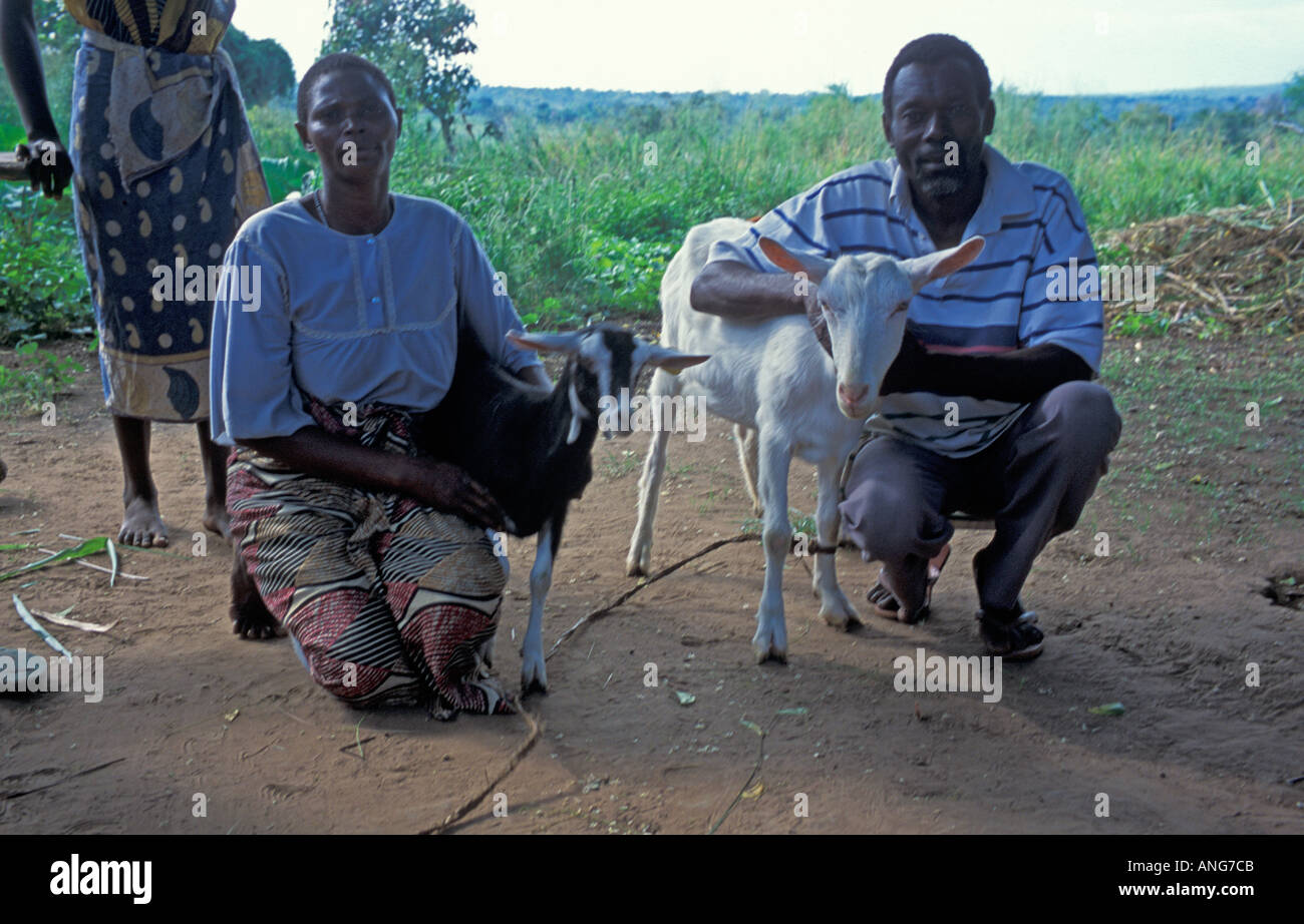 AFRICA KENYA KWALI Kenyan family with their Heifer Project ...