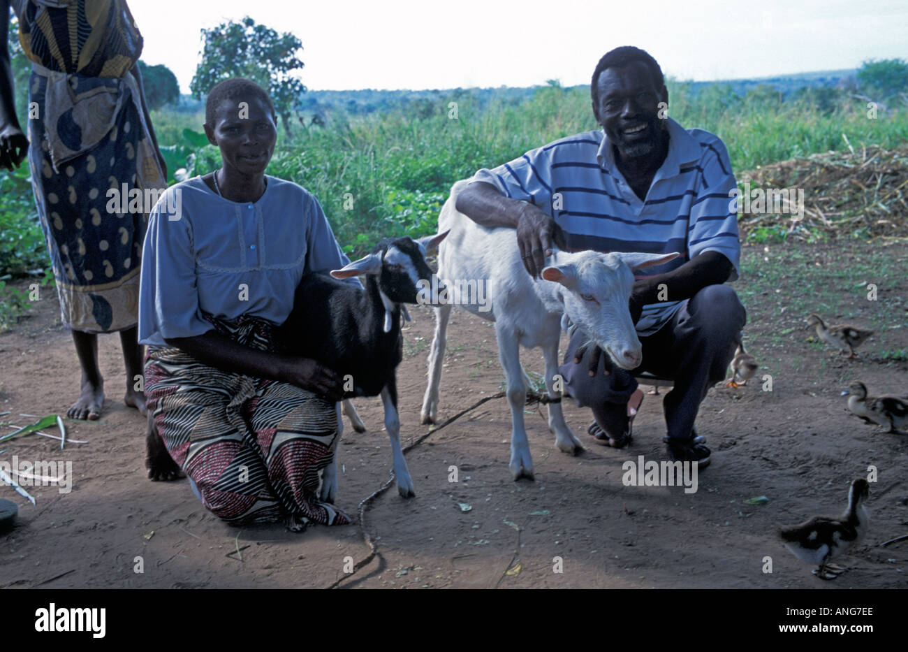 AFRICA KENYA KWALI Kenyan family with their Heifer Project ...