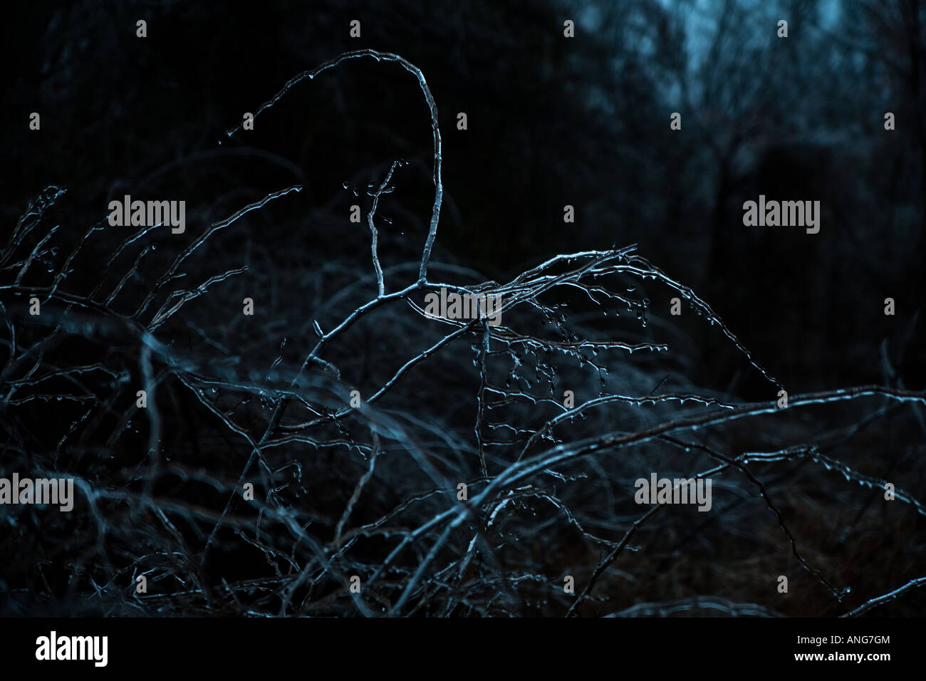 Tendrils of darkness hi-res stock photography and images - Alamy
