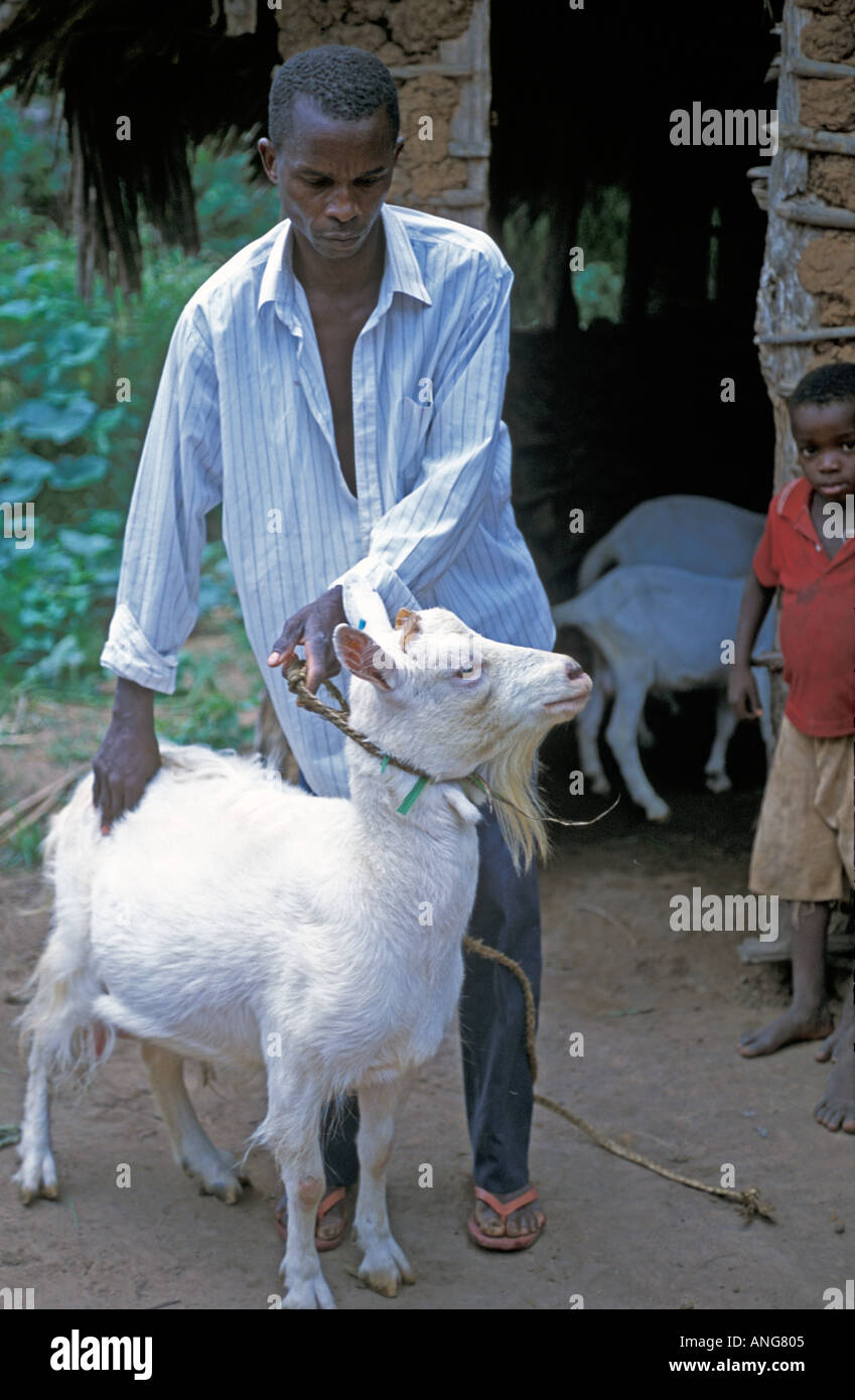 AFRICA KENYA KWALI Kenyan family with their Heifer Project ...