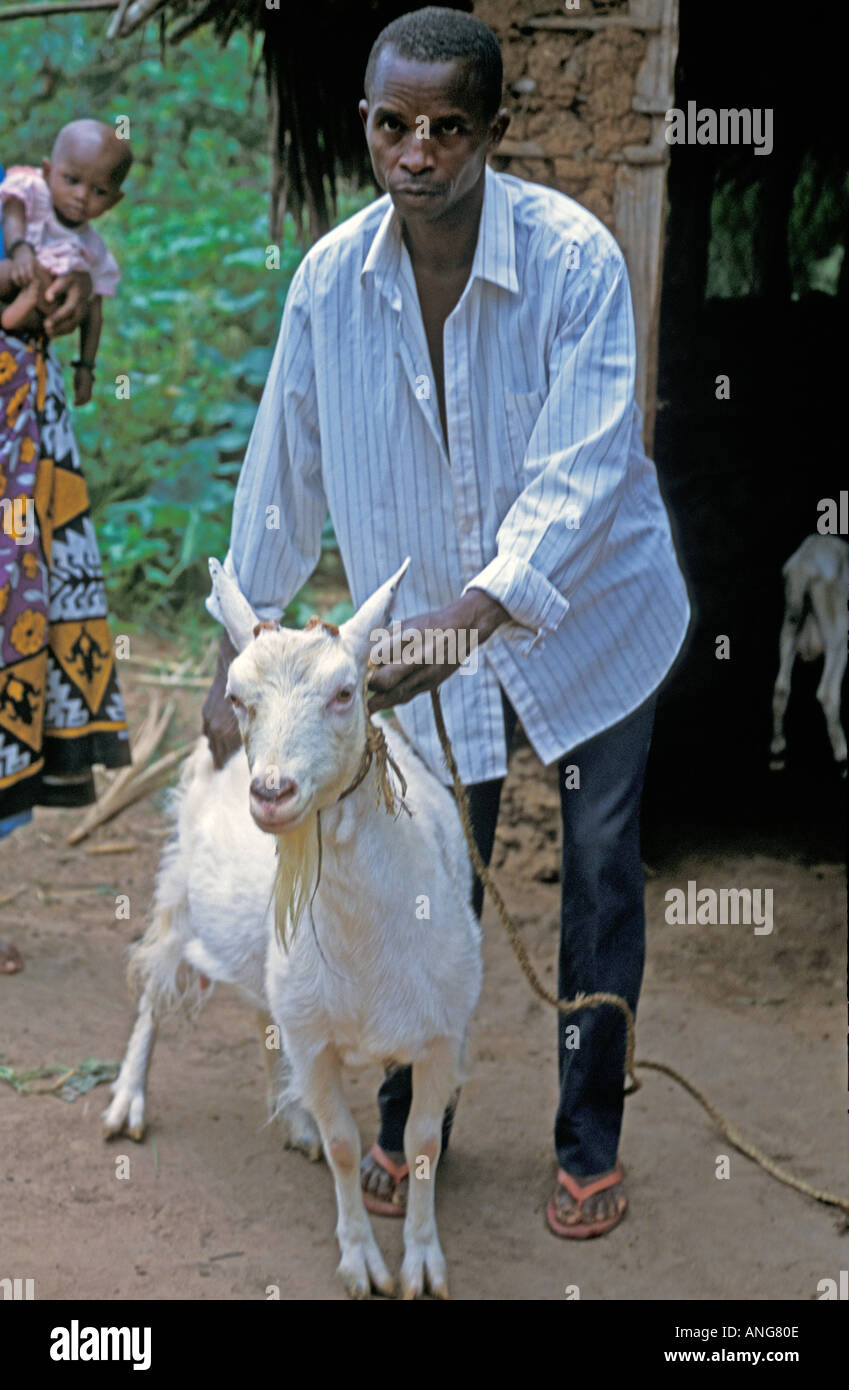 Heifer international goat hi-res stock photography and images - Alamy