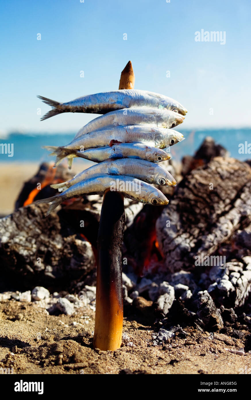 Fish grilled on a stick on the beach in Andalucia Spain Stock Photo - Alamy