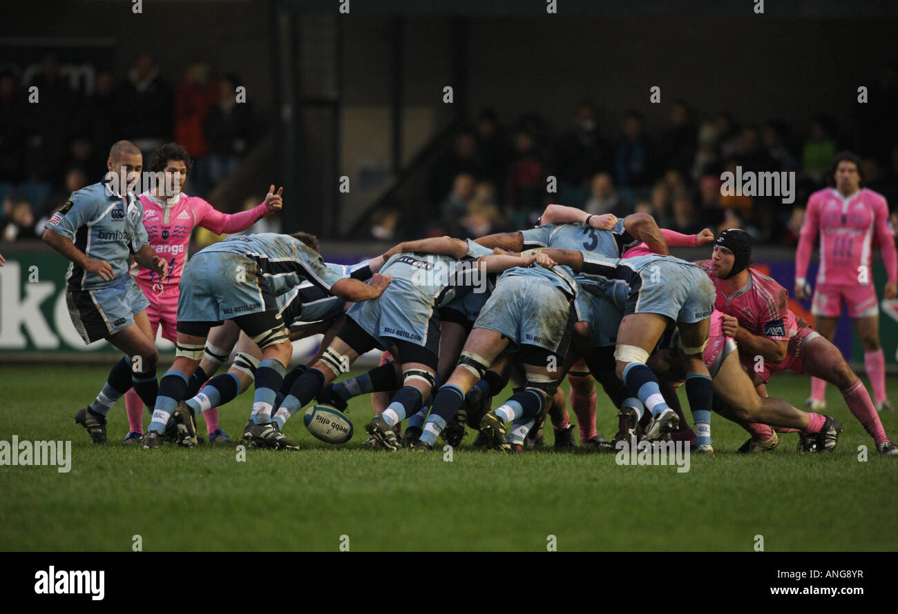 rugby union scrum blue pink gay colour Stock Photo - Alamy