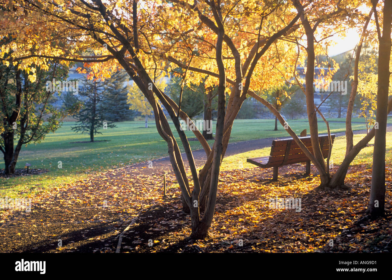 Rancho san rafael park hi-res stock photography and images - Alamy