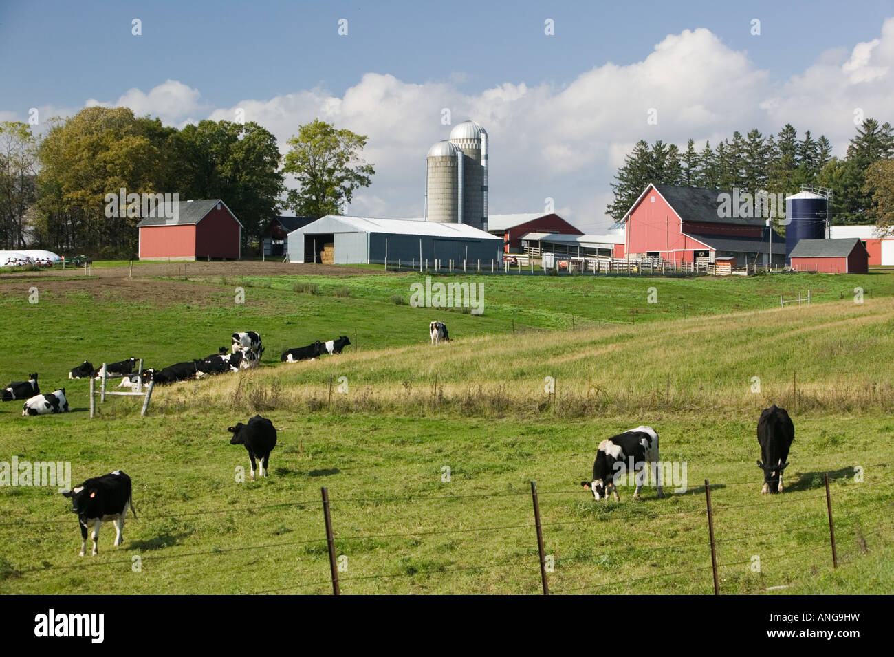 USA, WISCONSIN, Mississippi River Valley, Lund: Dairy Farm Stock Photo ...