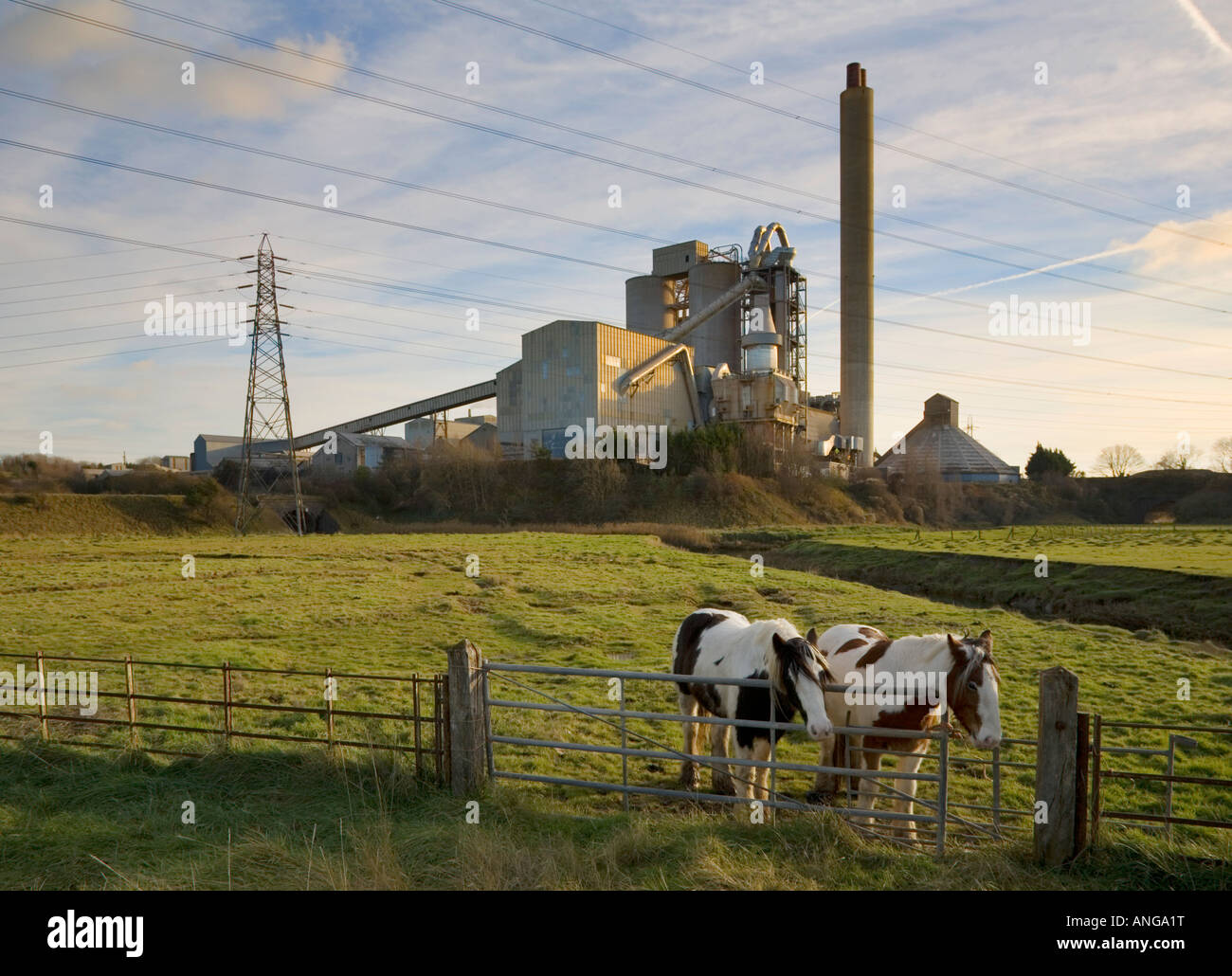 two piebald horses in a gated field with a cement works in the ...