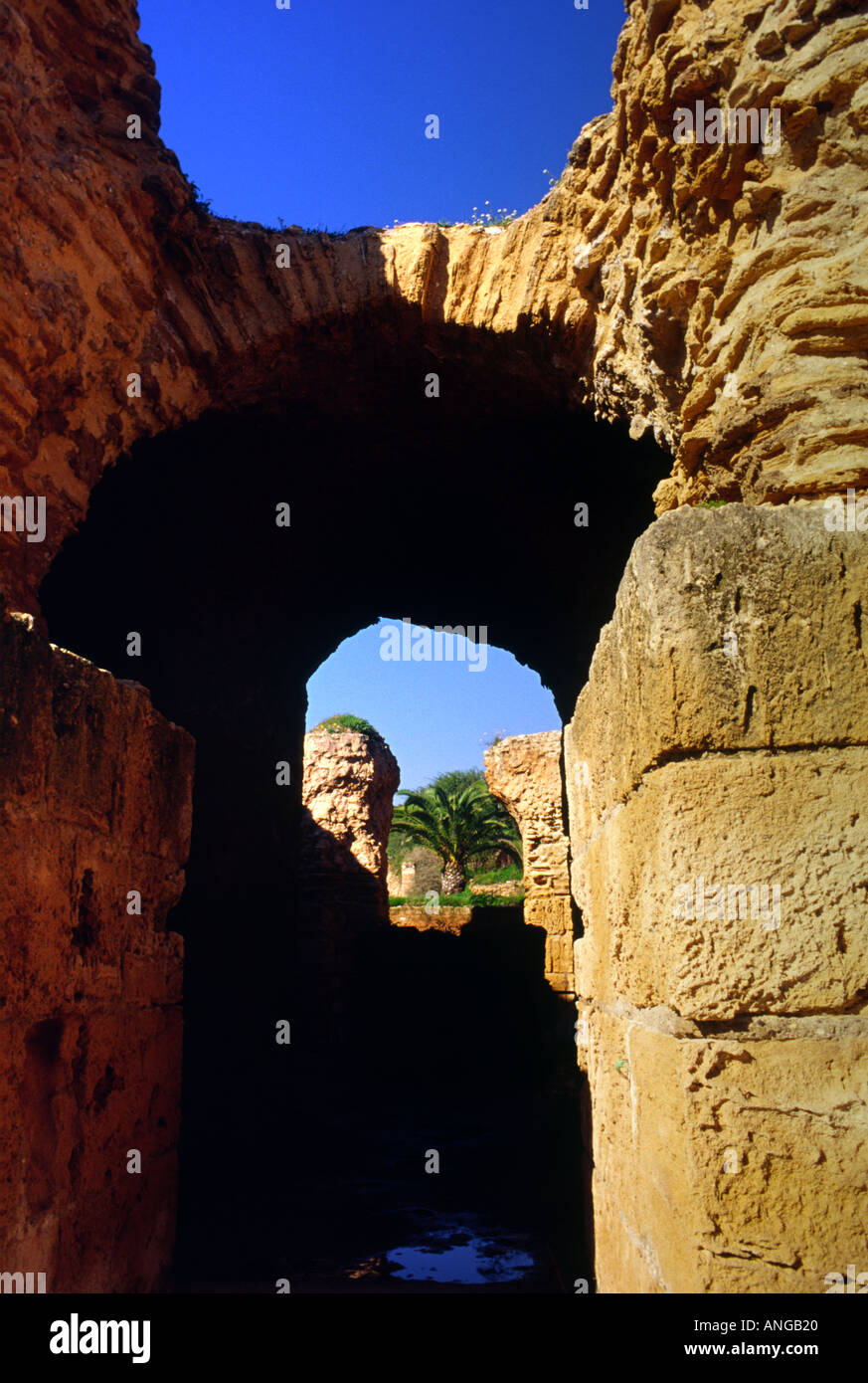 Carthage pillar arches palm hi-res stock photography and images - Alamy