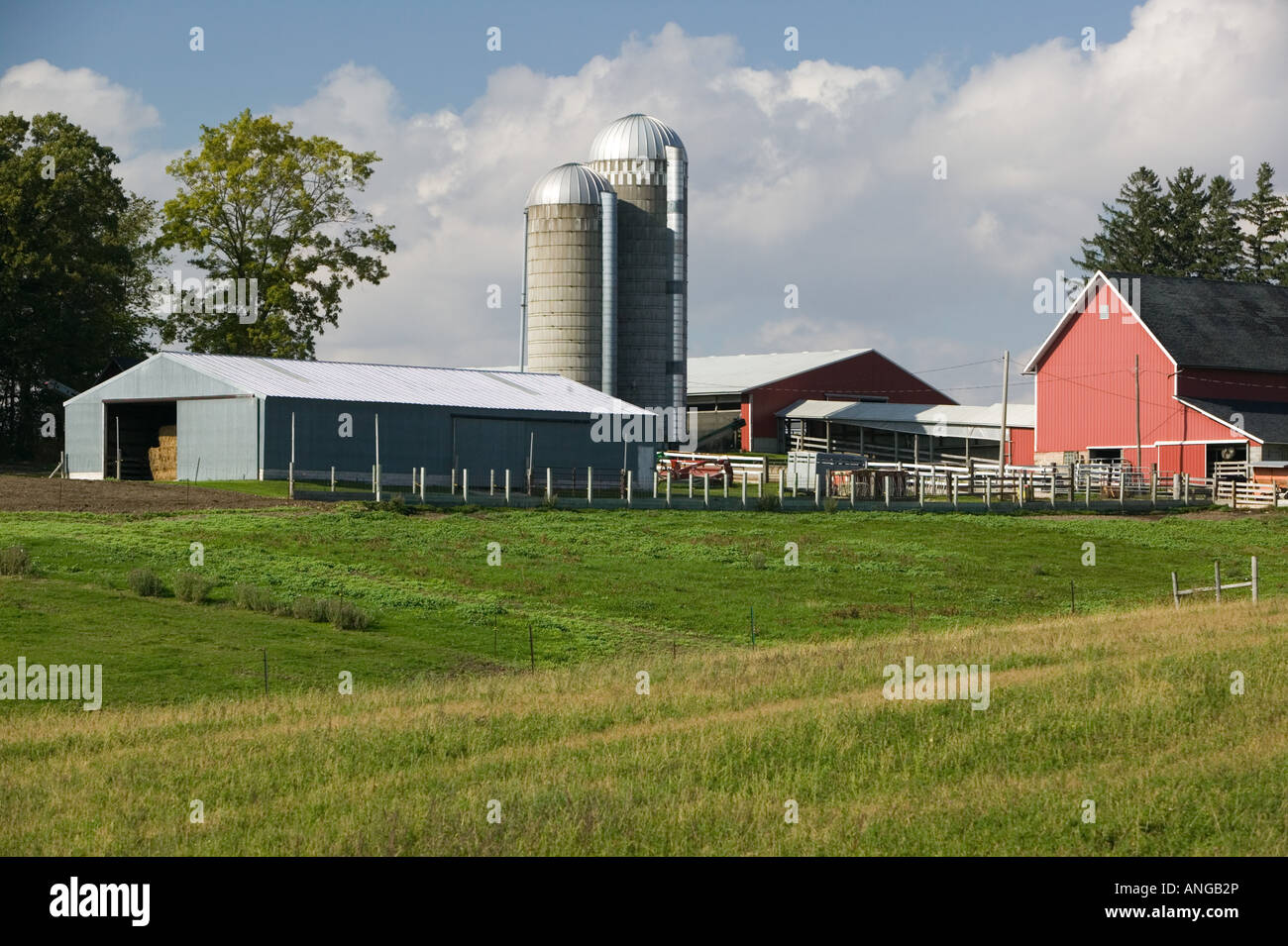 USA, WISCONSIN, Mississippi River Valley, Lund: Dairy Farm Stock Photo ...