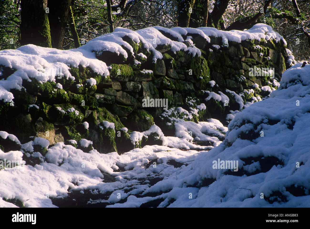 Snow covered Wall Artro Valley Snowdonia North West Wales Stock Photo ...