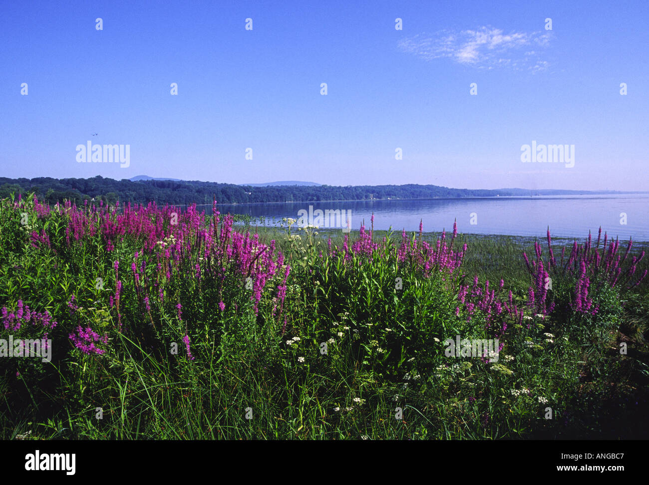 Hudson river estuary hi-res stock photography and images - Alamy