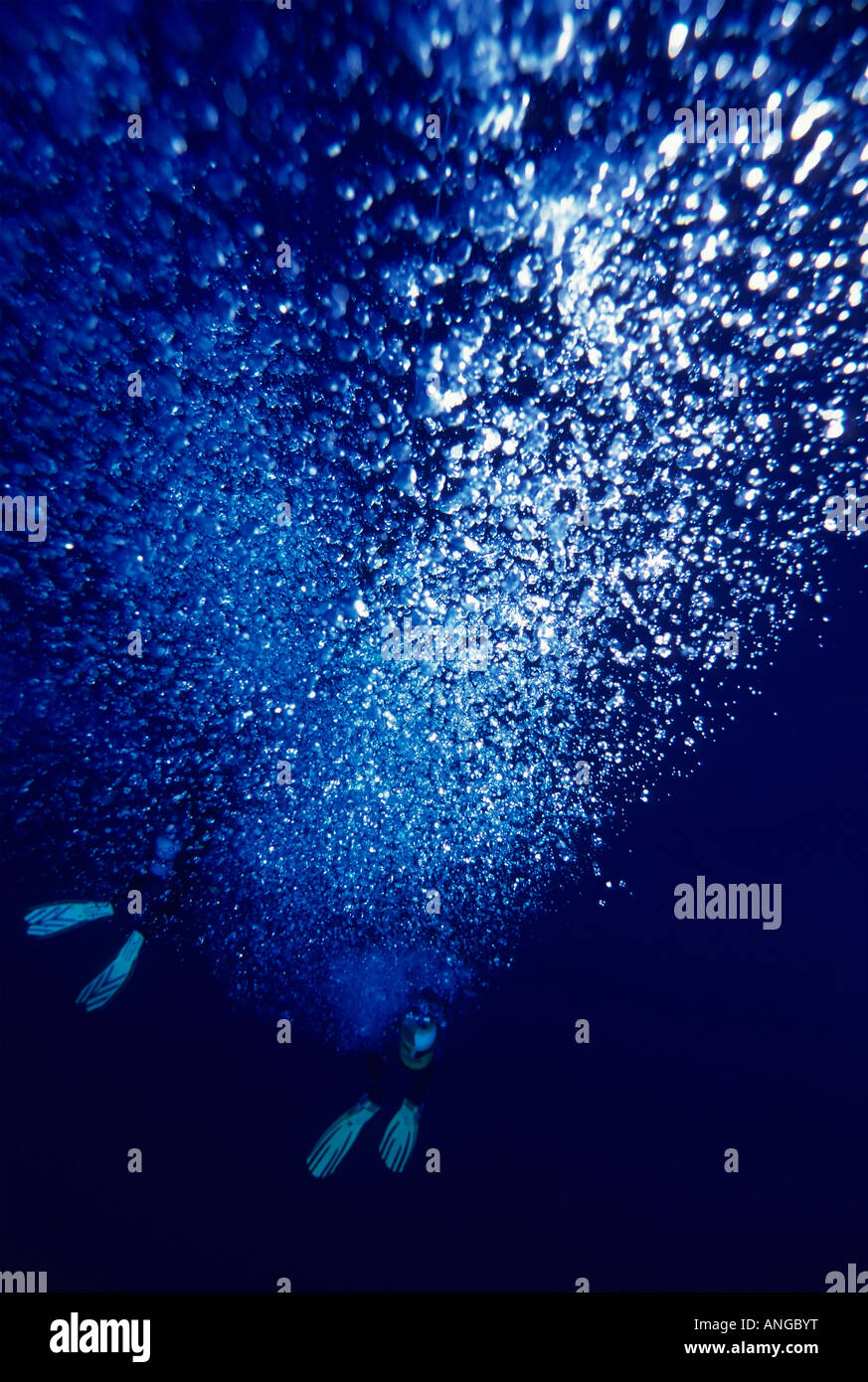 Scuba divers ascending hi-res stock photography and images - Alamy