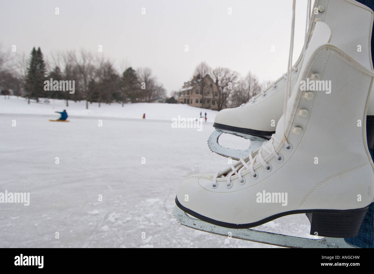 Ice rink edge hi-res stock photography and images - Alamy