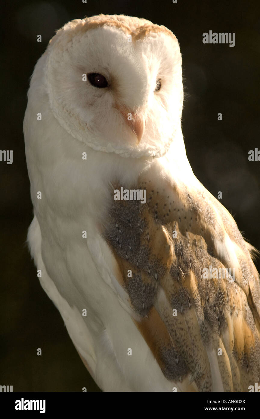 Organochlorine hi-res stock photography and images - Alamy