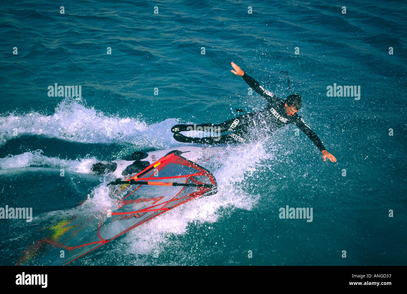 single male windsurfer falls off board Red Sea Sinai Egypt single male ...