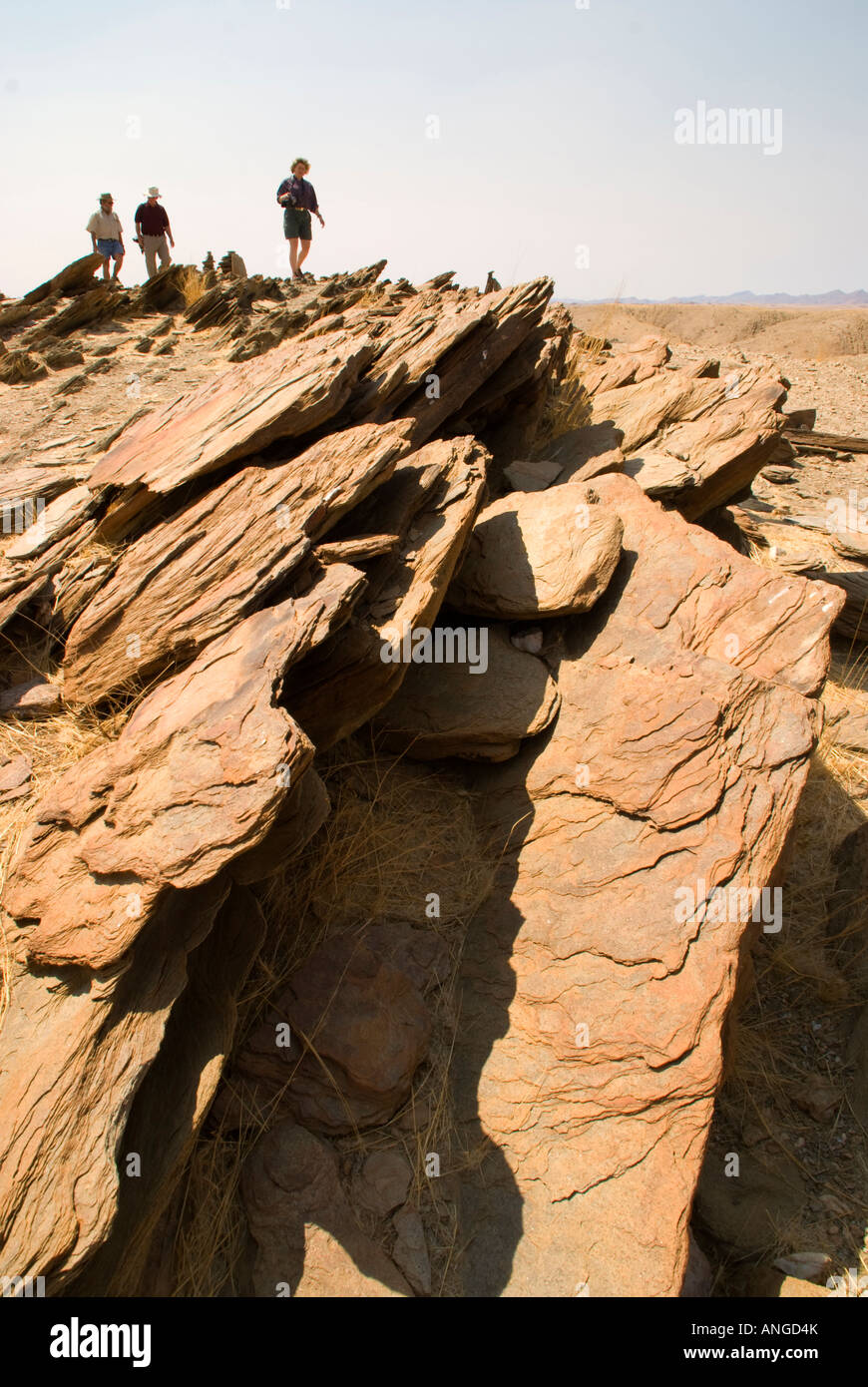 The Badlands a metamorphic mica schist formation of bedrock outcropping ...