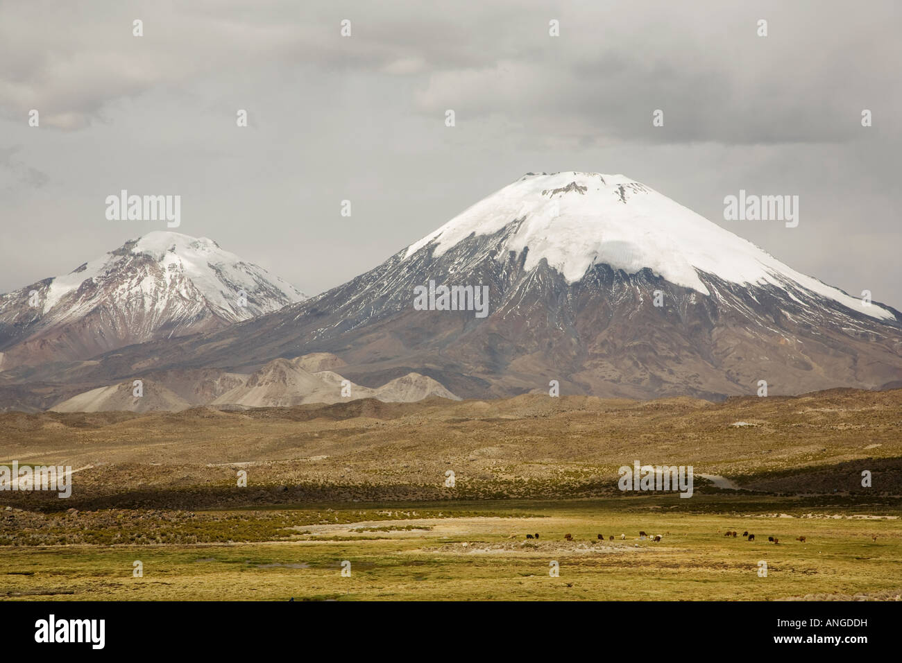 Parinacota Volcano Chile in the Andes altitude about 6350 metres Stock ...