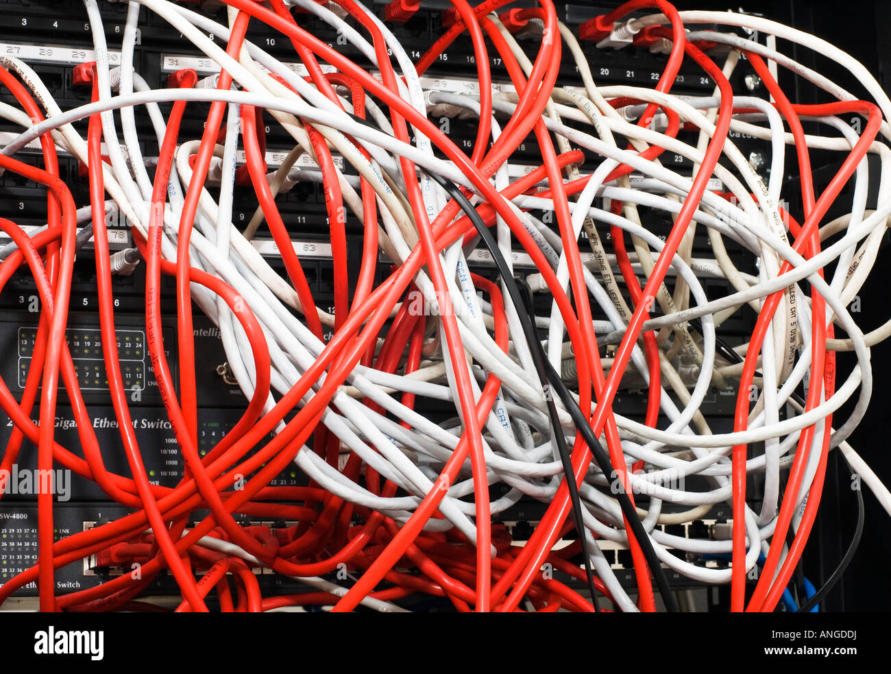 network switch and cables Stock Photo - Alamy