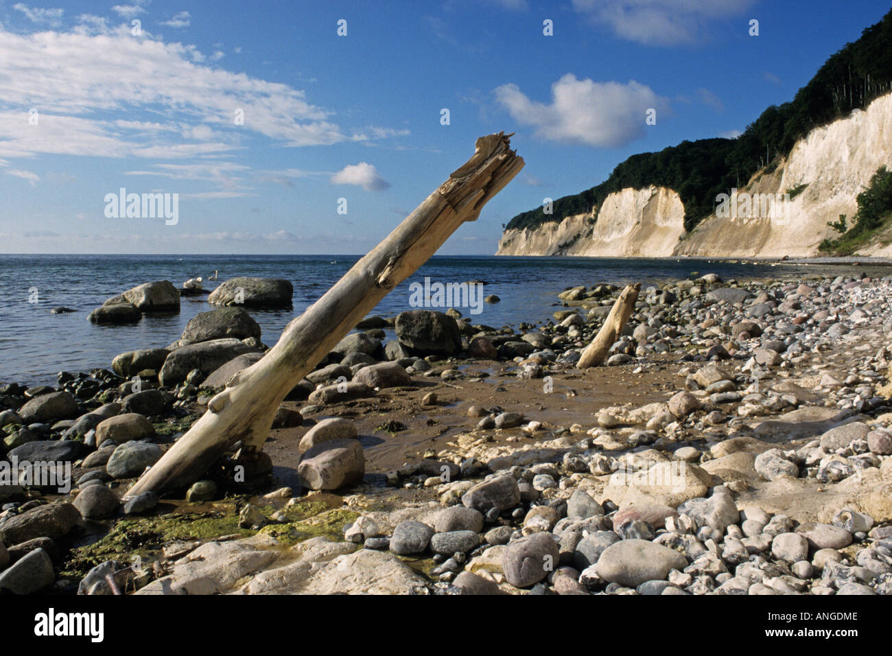 Jasmund national parks hi-res stock photography and images - Alamy