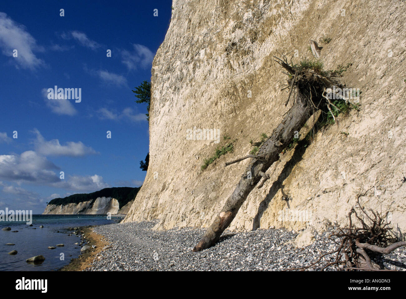 Jasmund national parks hi-res stock photography and images - Alamy