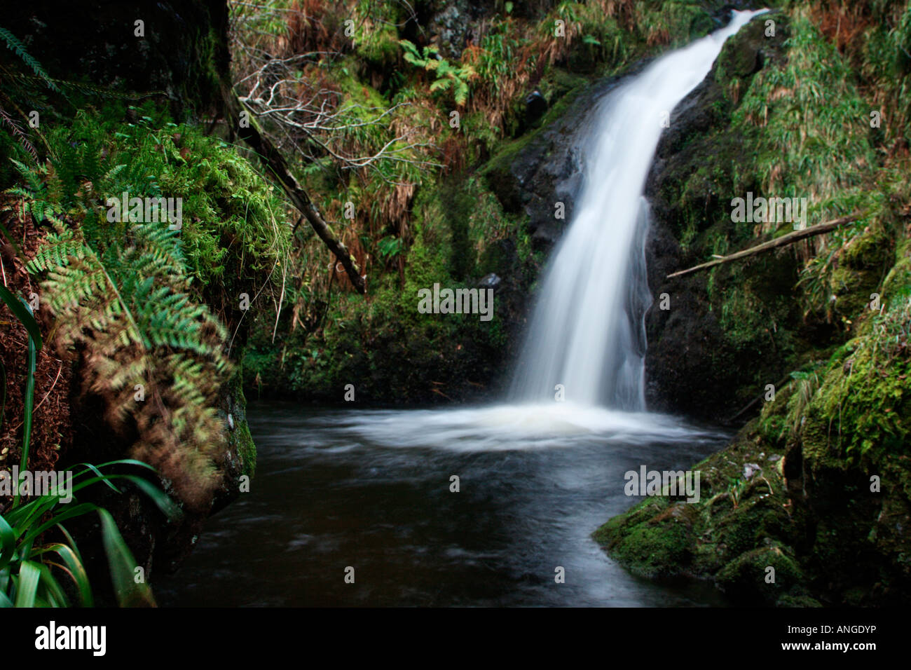 Water falling in to a stream Stock Photo - Alamy