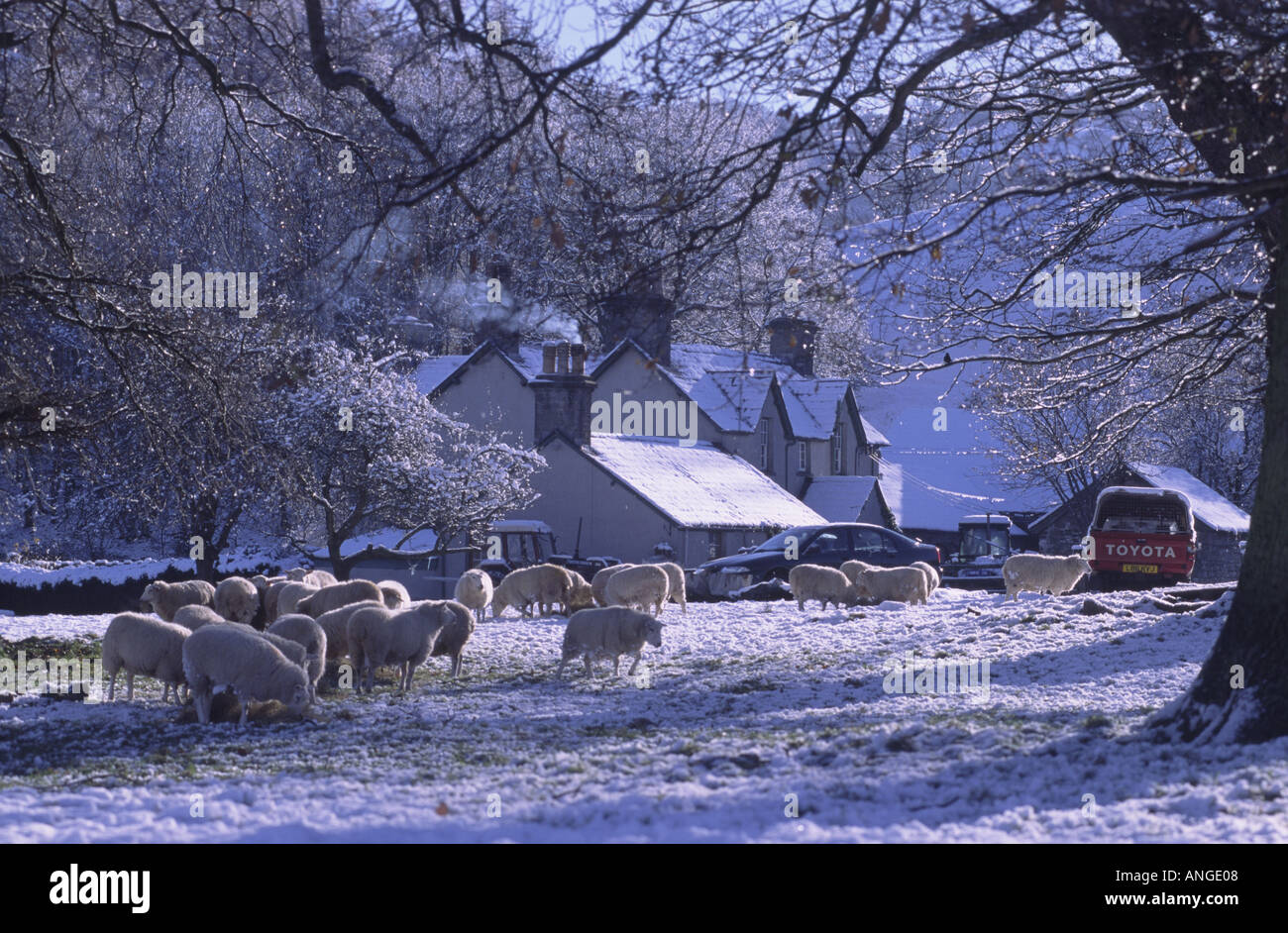 A view of a farm in Crickhowell, Powys, Wales, UK Stock Photo - Alamy