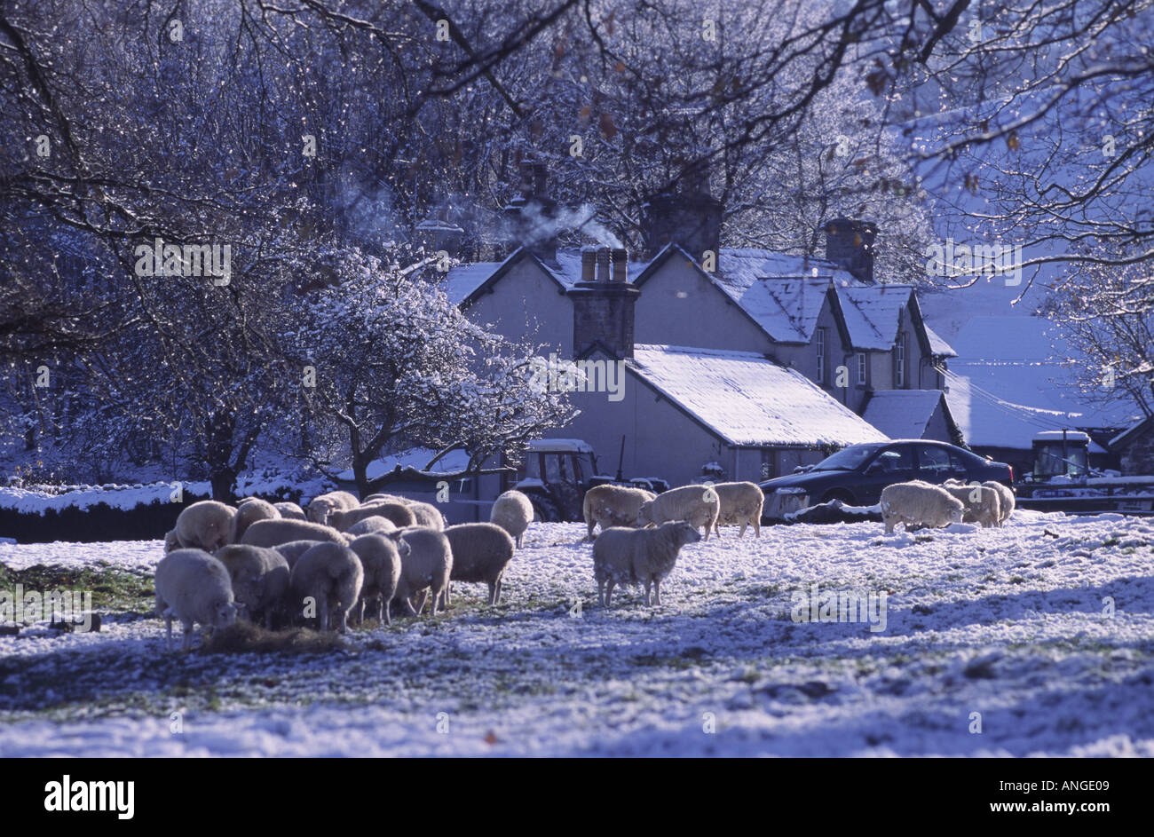 A view of a farm in Crickhowell, Powys, Wales, UK Stock Photo - Alamy