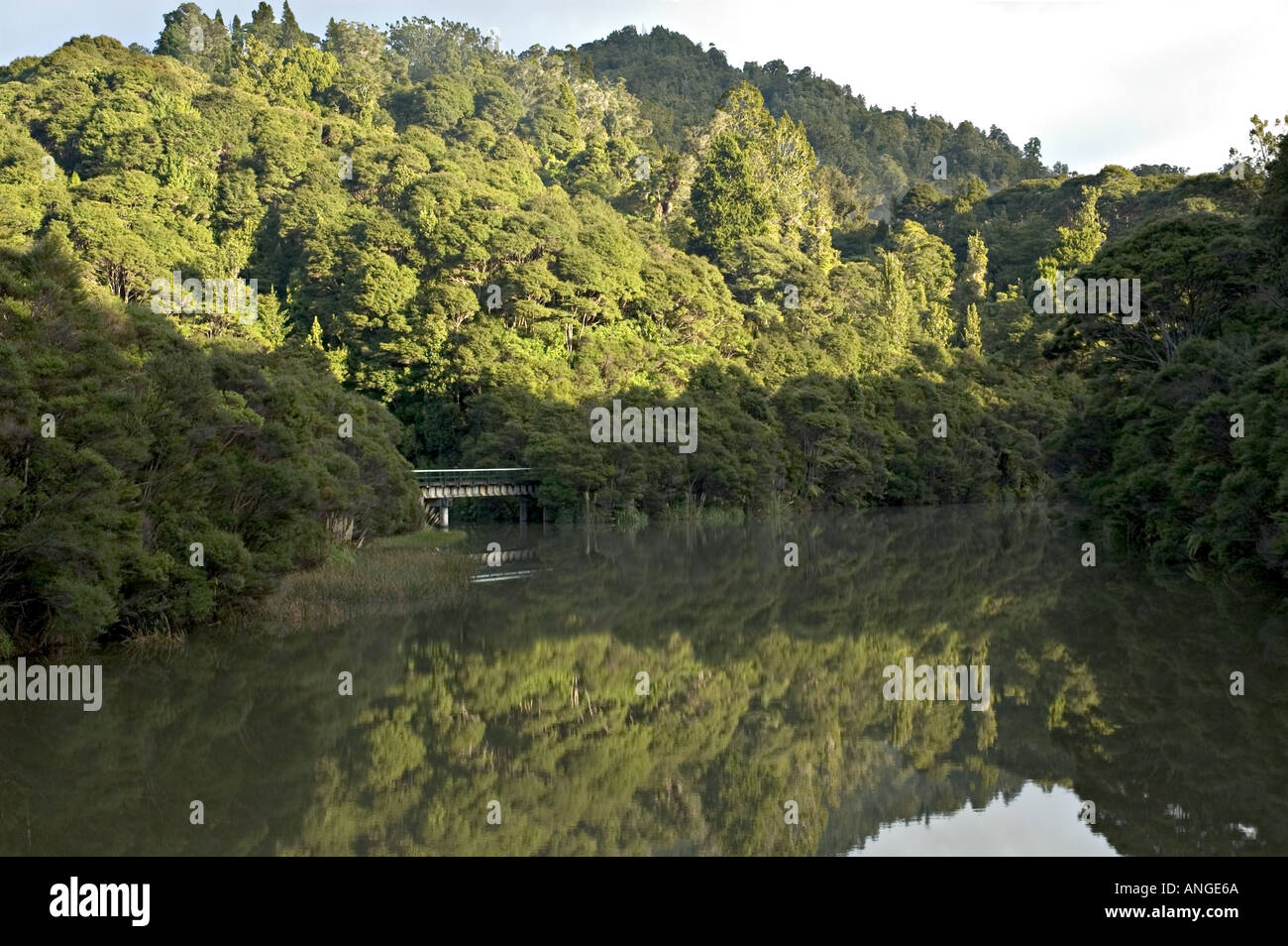 Dam waitakere ranges hi-res stock photography and images - Alamy