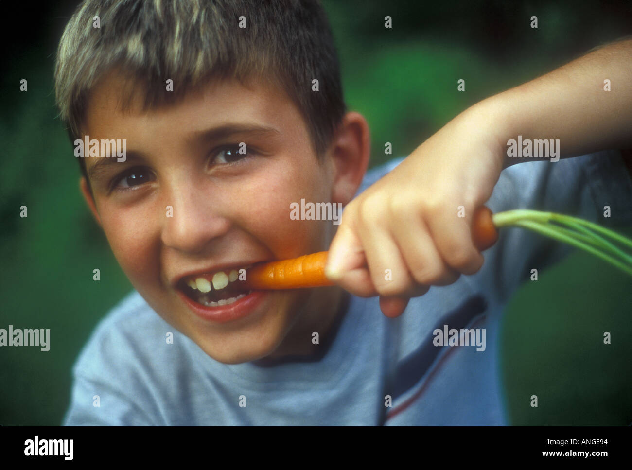 Child eating fresh vegetable from the garden hi-res stock photography ...